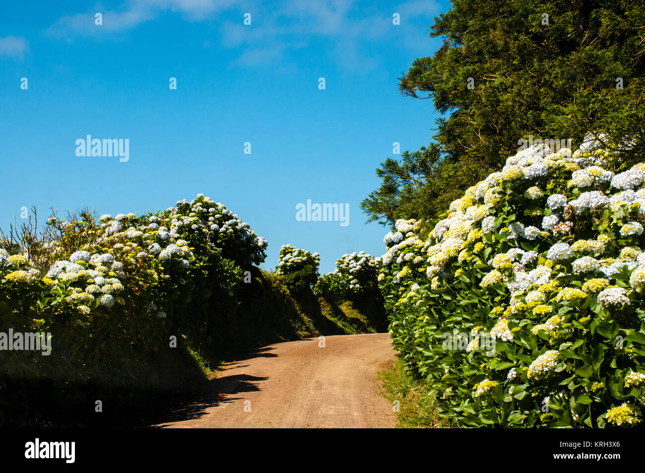 The Azores, Portugal, archipelago in the mid-Atlantic. Dramatic ...
