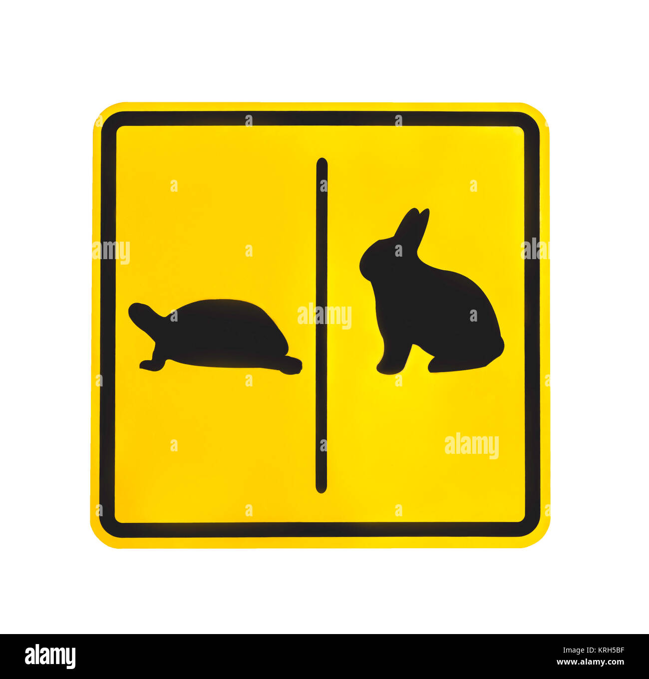 Turtle project Cut Out Stock Images & Pictures - Alamy
