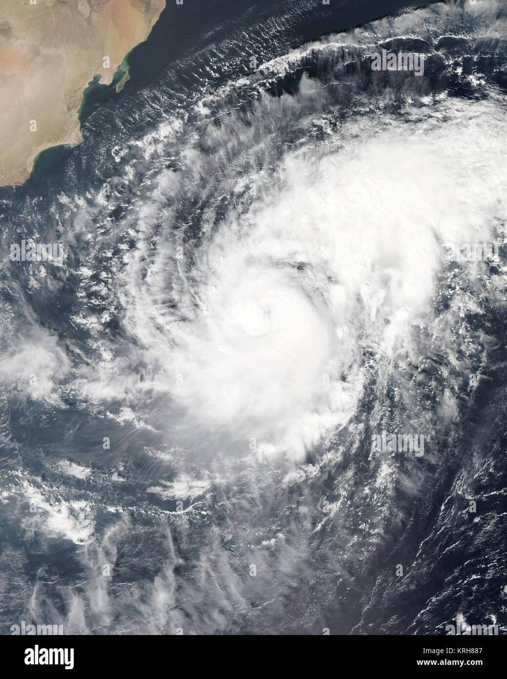 Nilofar hi-res stock photography and images - Alamy