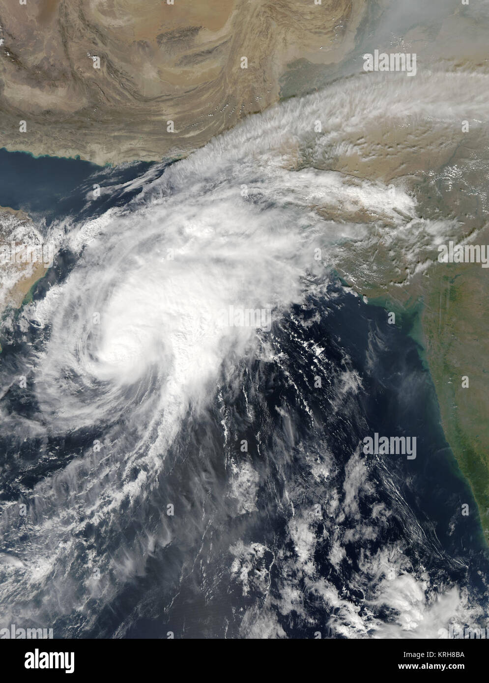 Nilofar hi-res stock photography and images - Alamy