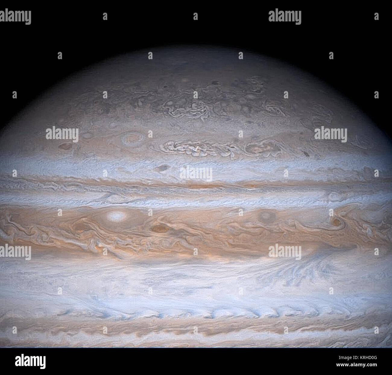 Mottling hi-res stock photography and images - Alamy