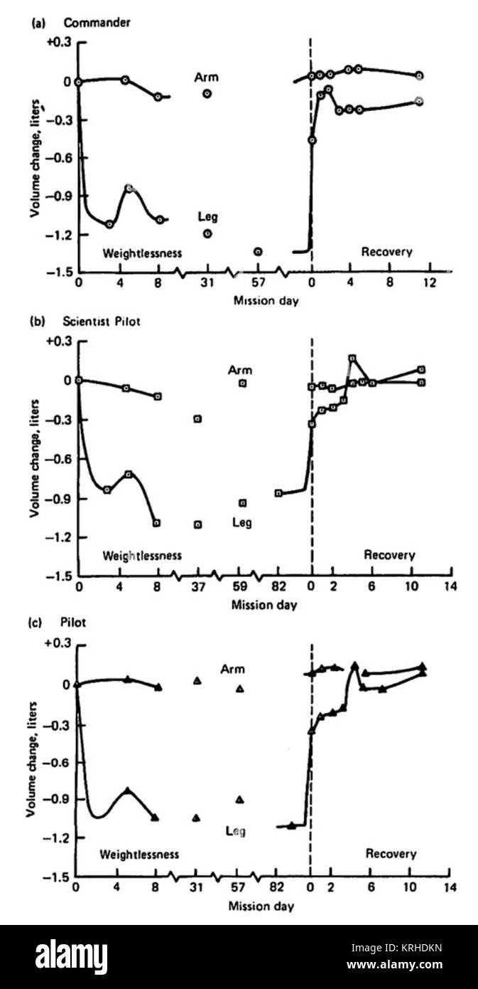Body muscle illustration Black and White Stock Photos & Images - Alamy