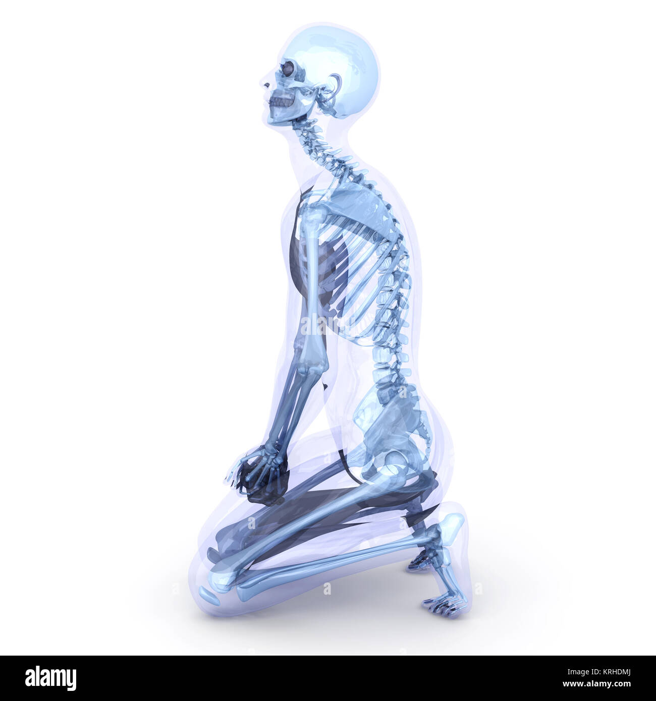A male, human, translucent Body. Anatomy visualization. 3D rendered ...