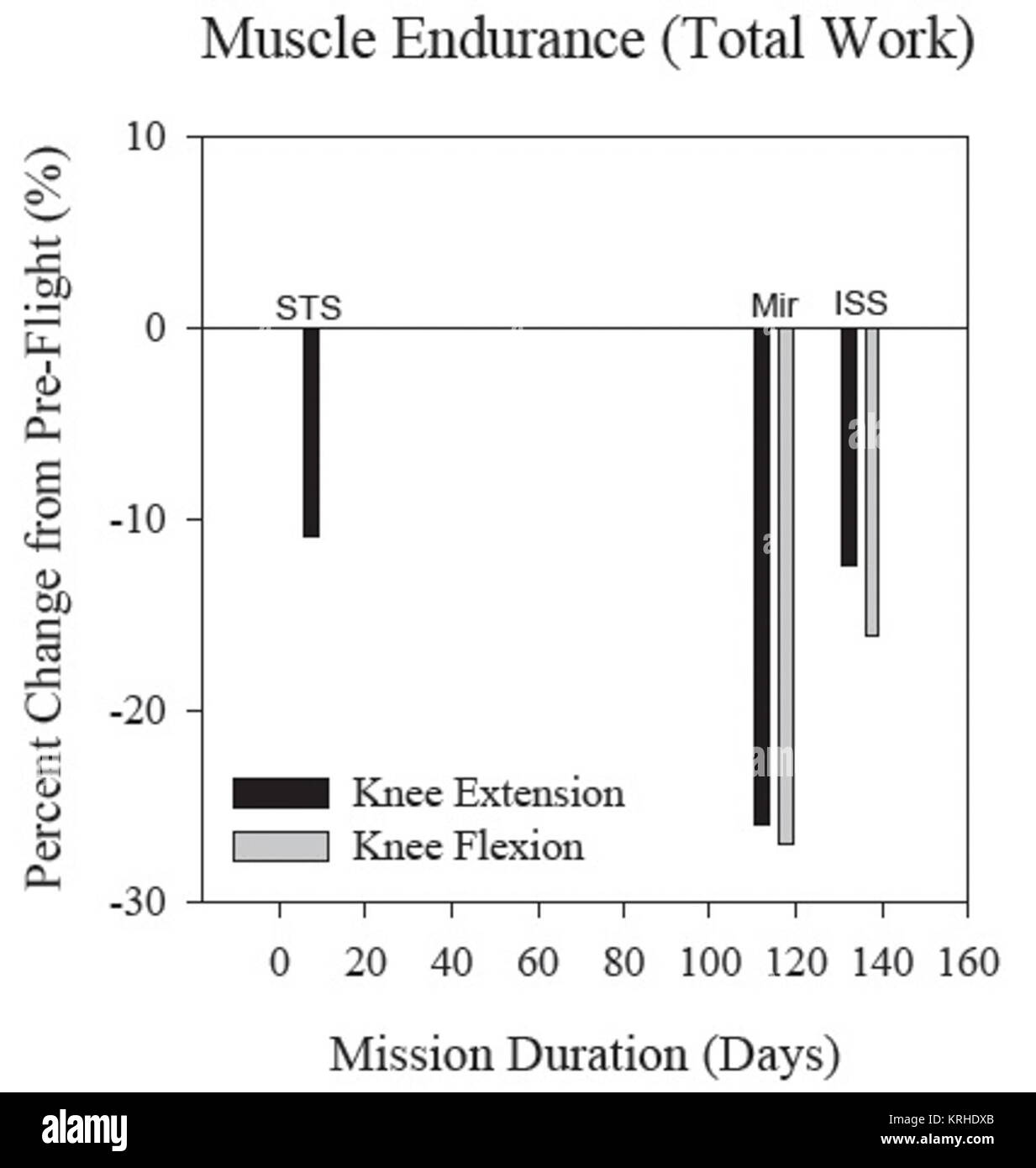 Human muscle diagram hi-res stock photography and images - Alamy