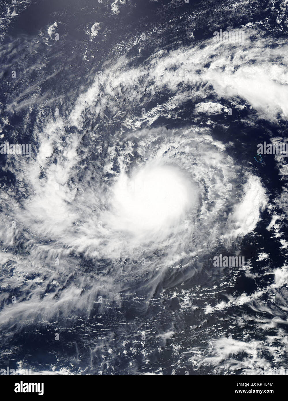 Dolphin 2015-05-12 0250Z (cropped Stock Photo - Alamy