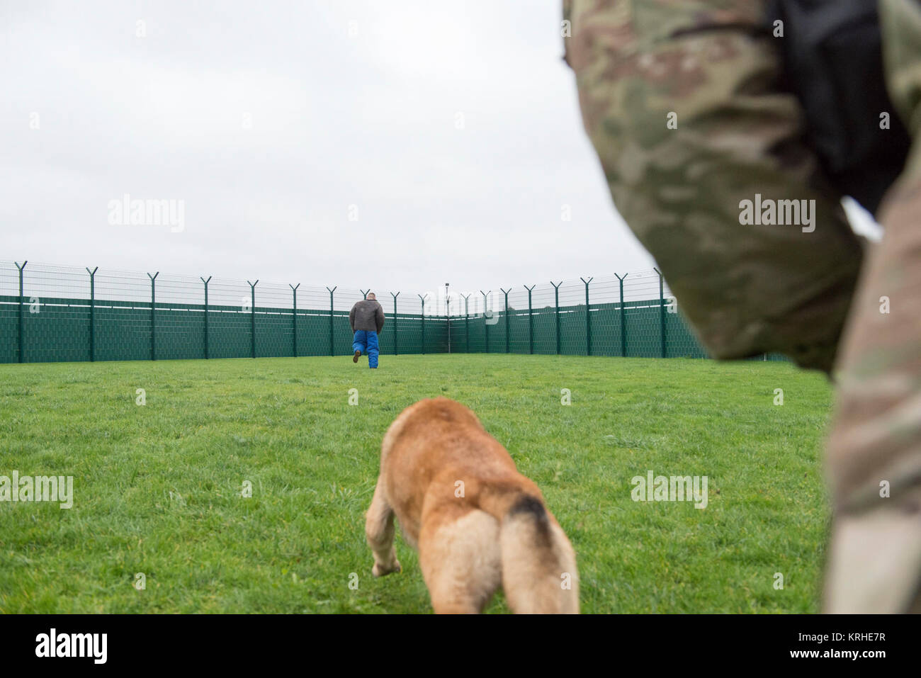 U.S. Army Spc. Tahle Teabout, military working dog (MWD) handler with ...