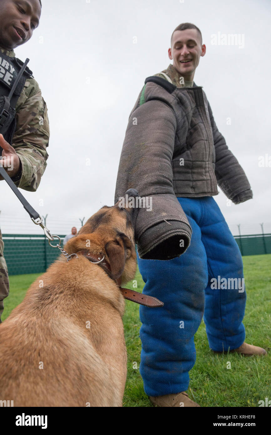 U.S. Army Spc. Tahle Teabout, military working dog (MWD) handler with ...