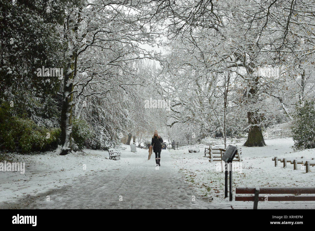 Snowy path through the park Stock Photo - Alamy