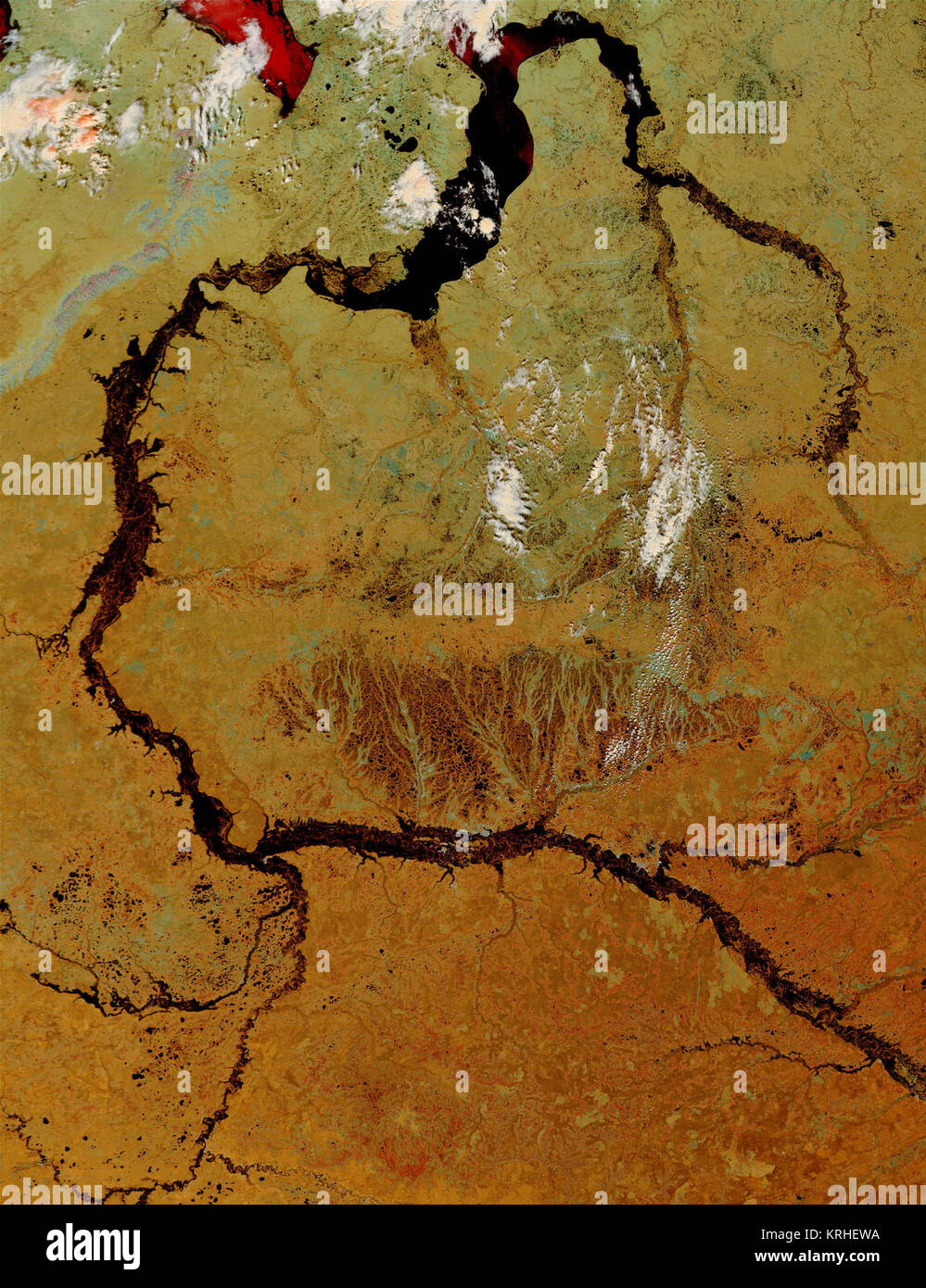 Taz hi-res stock photography and images - Alamy