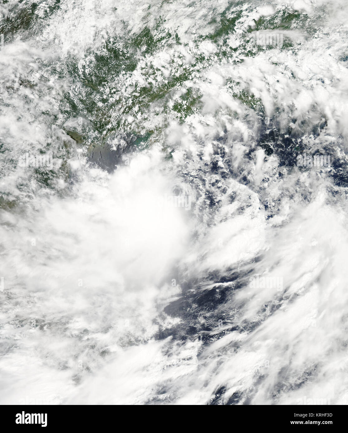 Kujira hi-res stock photography and images - Alamy