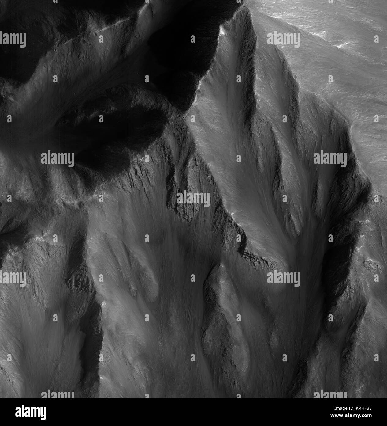 Chasma hebes hi-res stock photography and images - Alamy