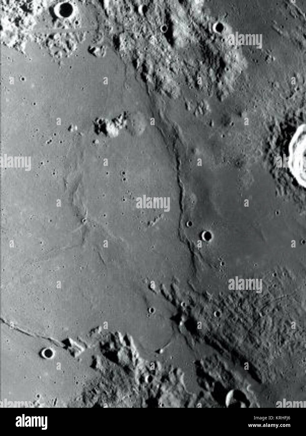 Manilius hi-res stock photography and images - Alamy