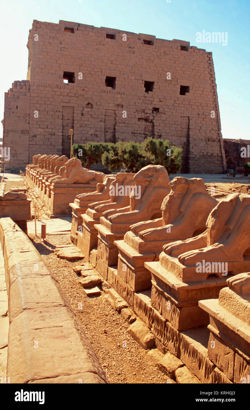 Ram-headed criosphinxes,Temple of Karnak,Egypt Stock Photo - Alamy