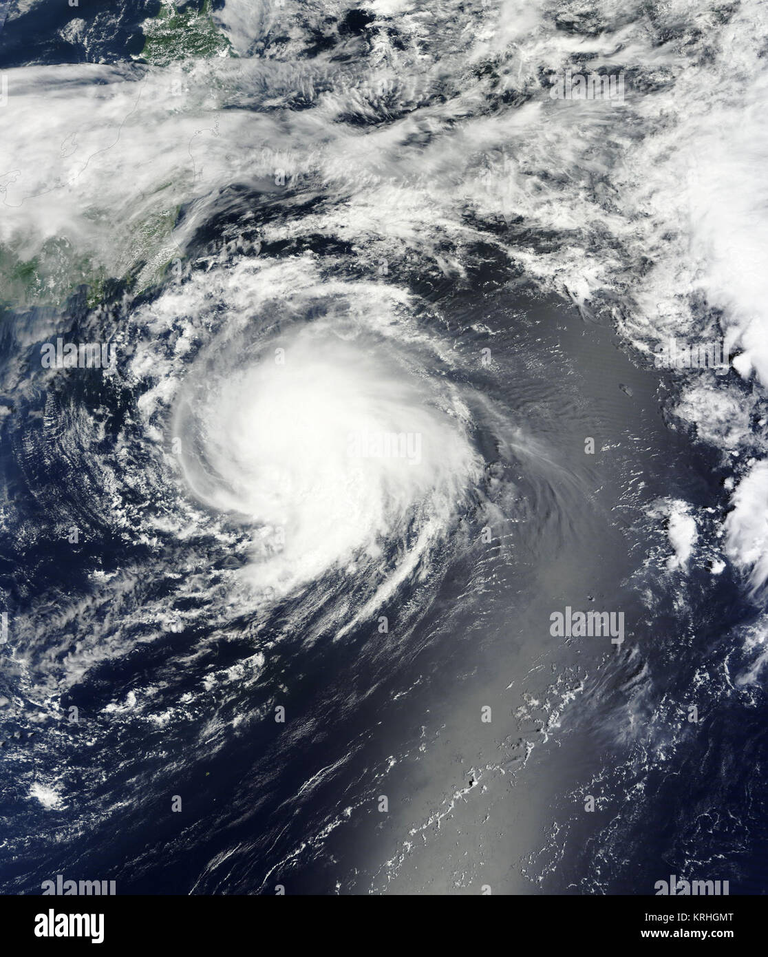 Molave hi-res stock photography and images - Alamy