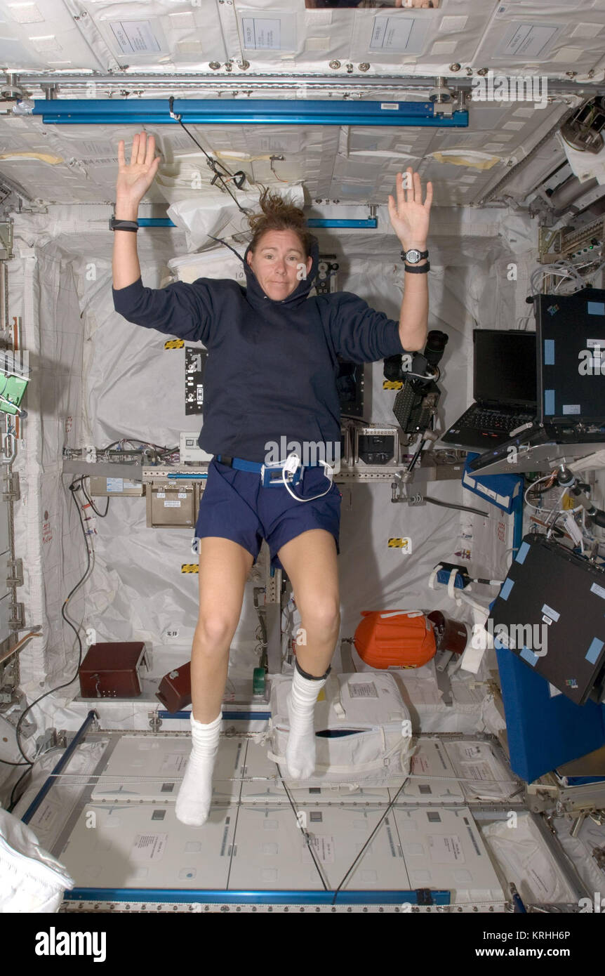 Exp18 Flight Engineer Sandy Magnus Stock Photo - Alamy