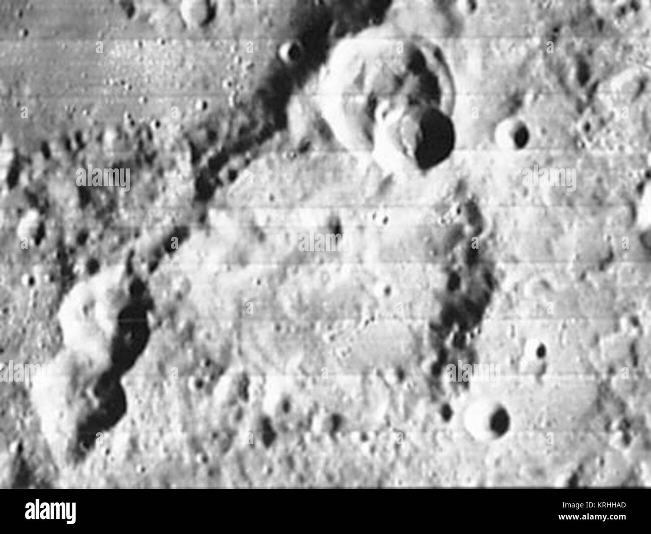 Normal Nonius LO iv 107 h3 Stock Photo - Alamy