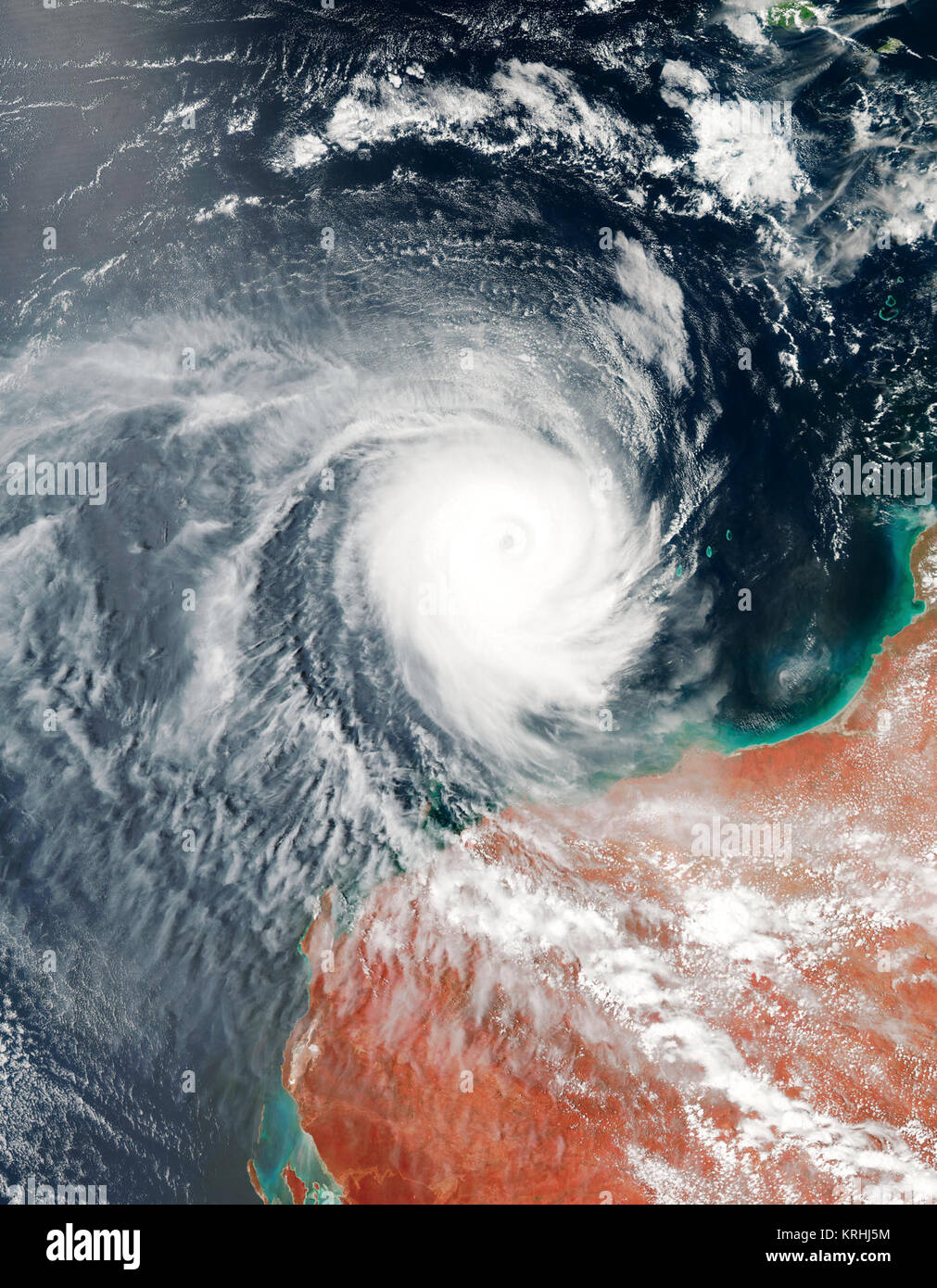 Billy dec 25 2008 Stock Photo - Alamy