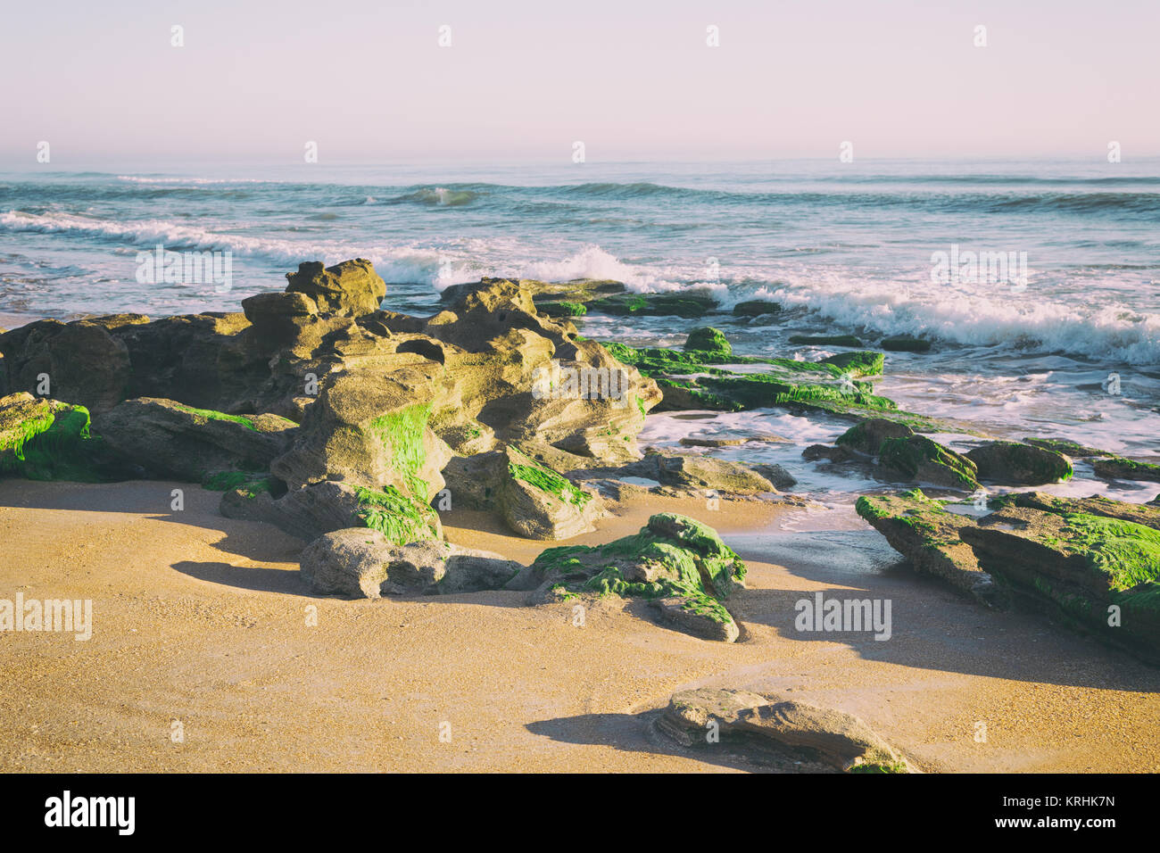 Large moss covered limestone deposits on the shore of a beach. Rocky ...