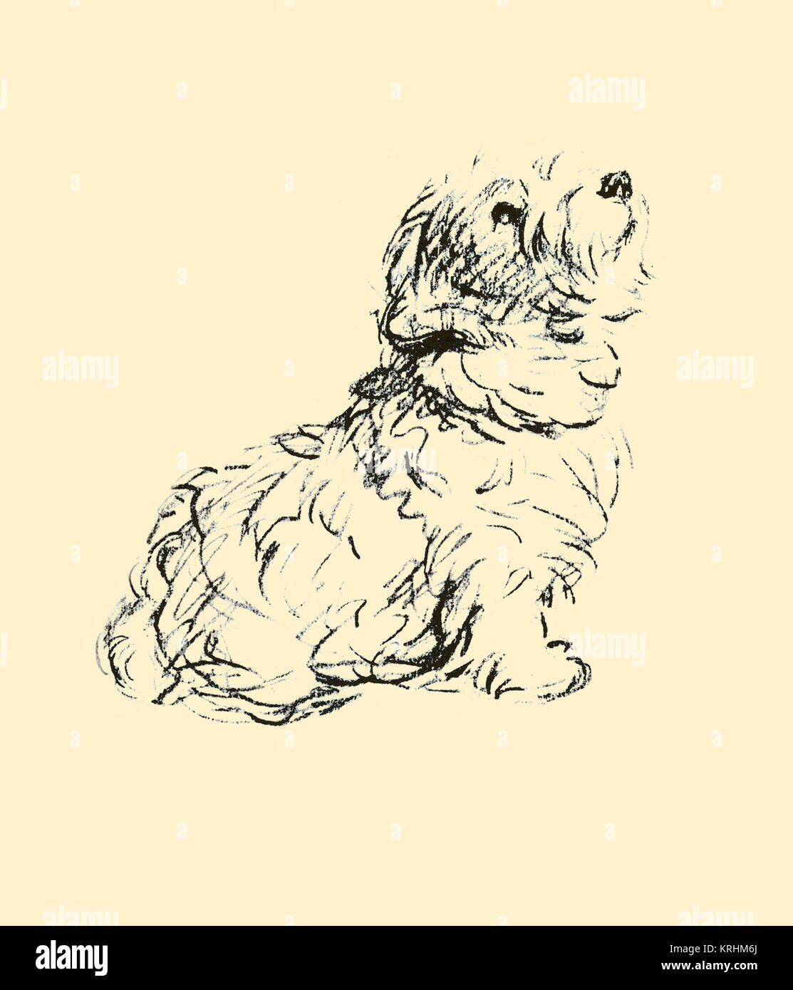 Mr. Sponge Wakes Up Stock Photo - Alamy