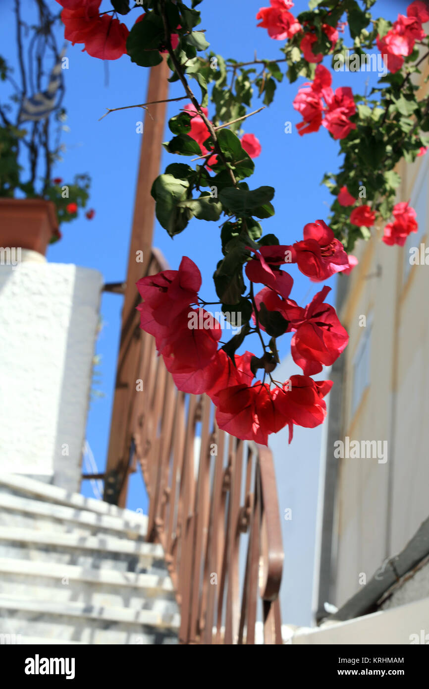 Traditional colors for Greek architecture Stock Photo - Alamy