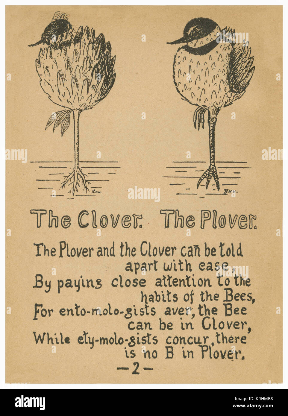 The Clover. The Plover Stock Photo - Alamy