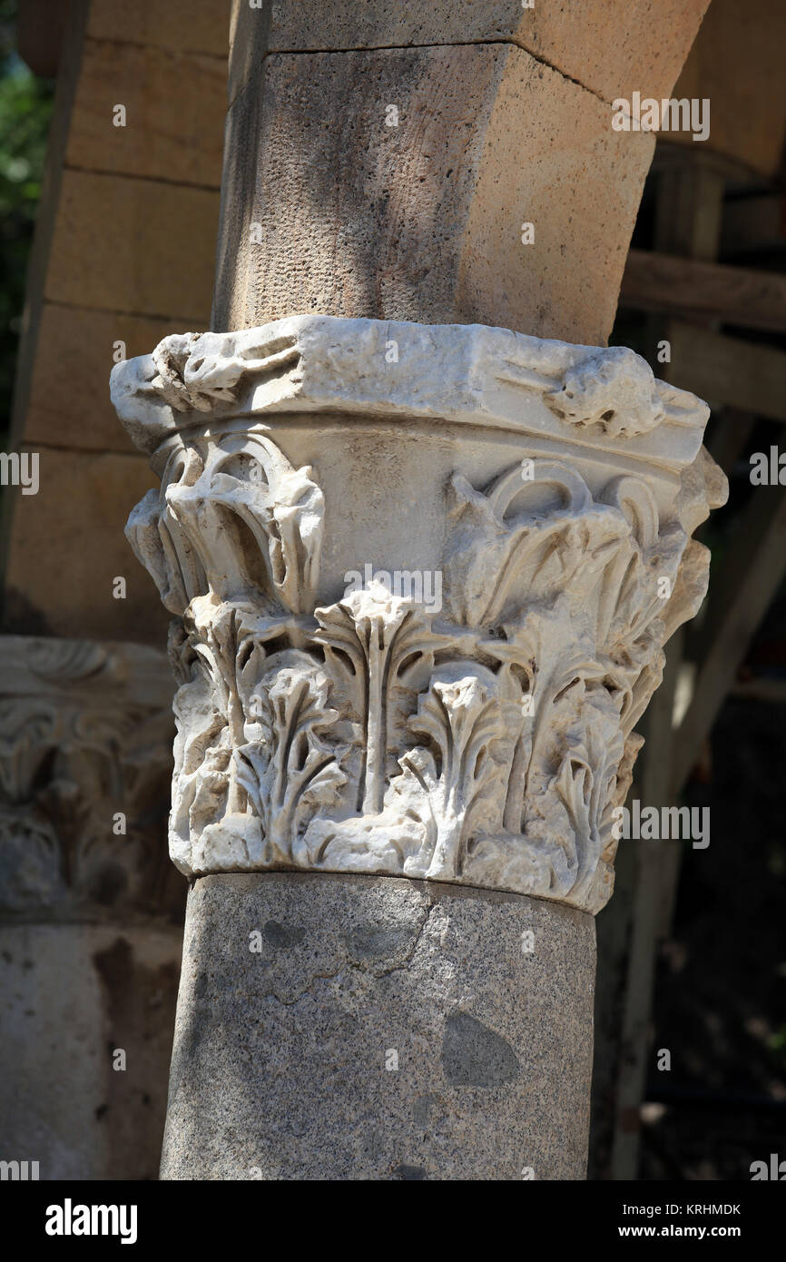 Hippocrates plane tree kos city hi-res stock photography and images - Alamy