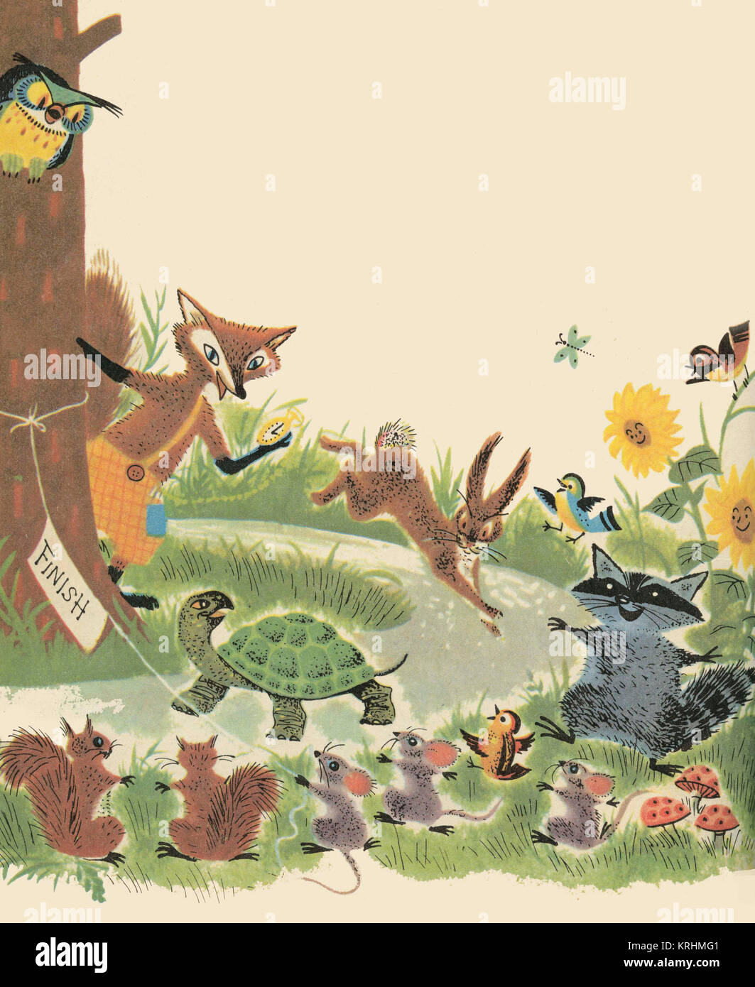 Rabbit owl hi-res stock photography and images - Alamy