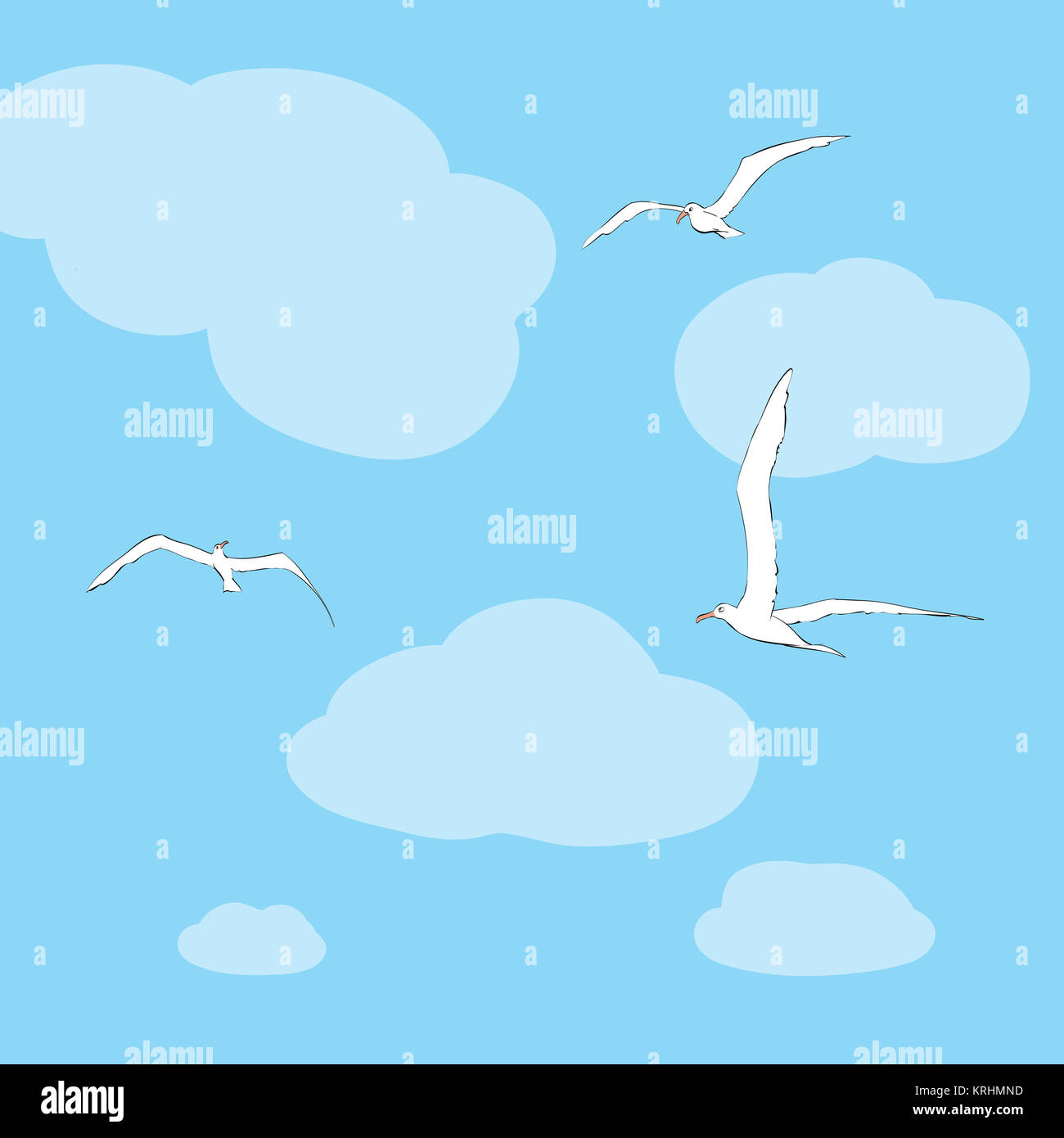 Sea gulls soar in the sky Stock Photo - Alamy