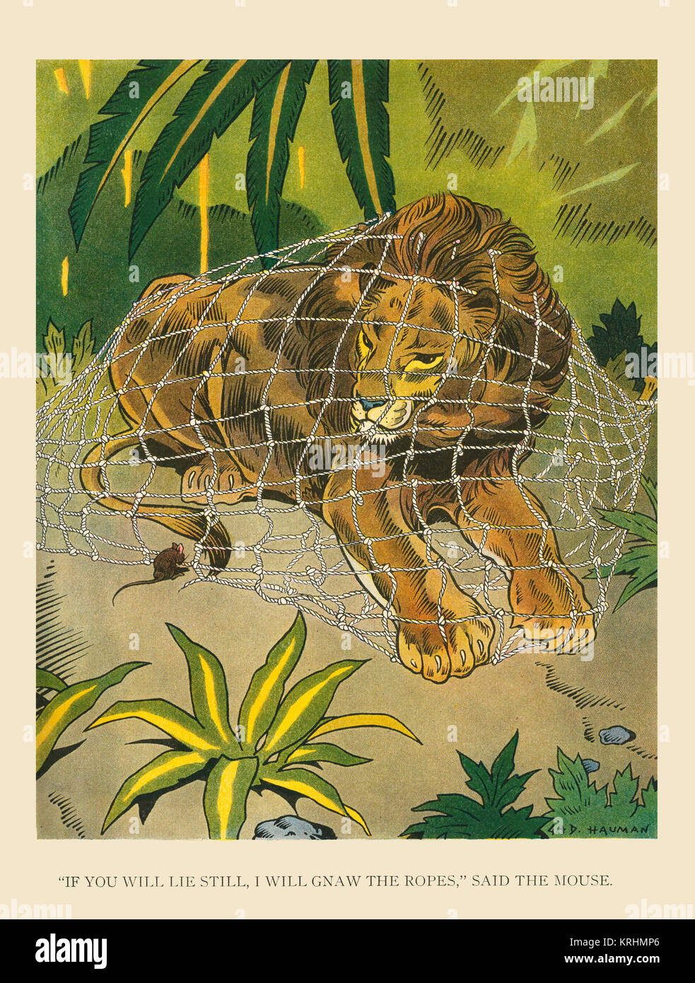 The fable of the lion and the mouse hi-res stock photography and images ...