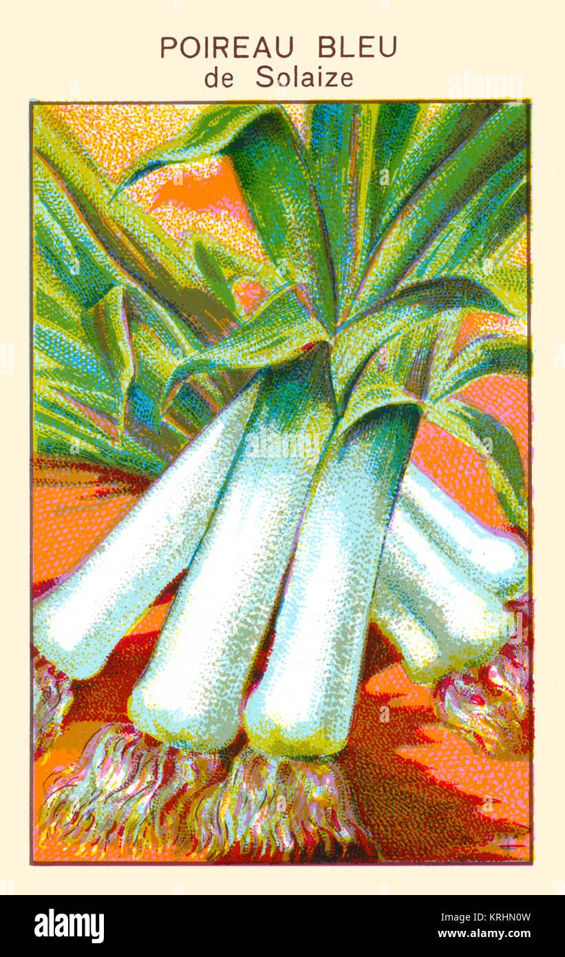 Solaize hi-res stock photography and images - Alamy