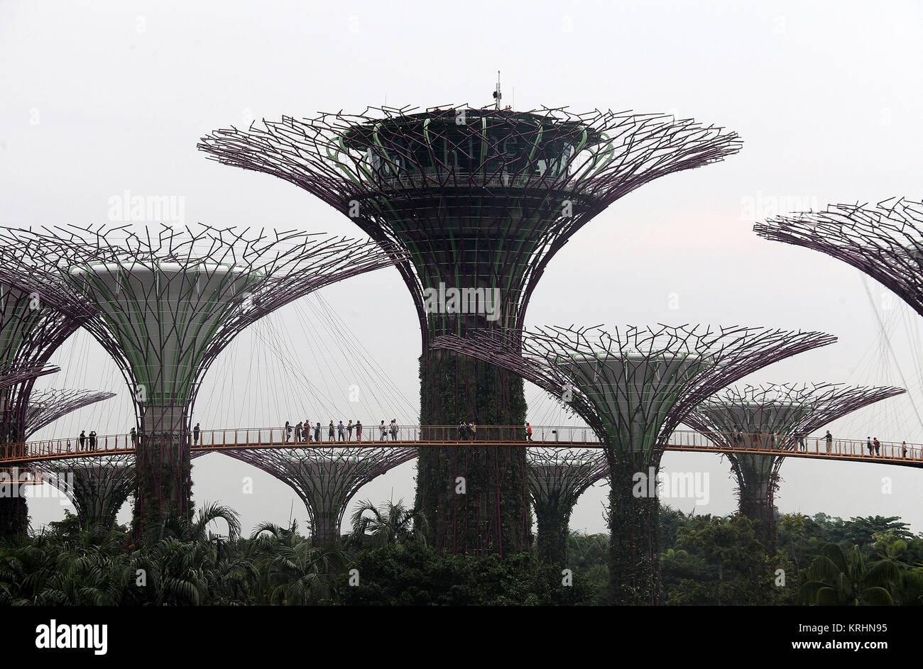 Super trees in gardens hi-res stock photography and images - Alamy
