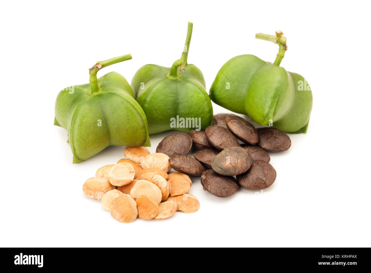 sacha inchi seeds Stock Photo - Alamy