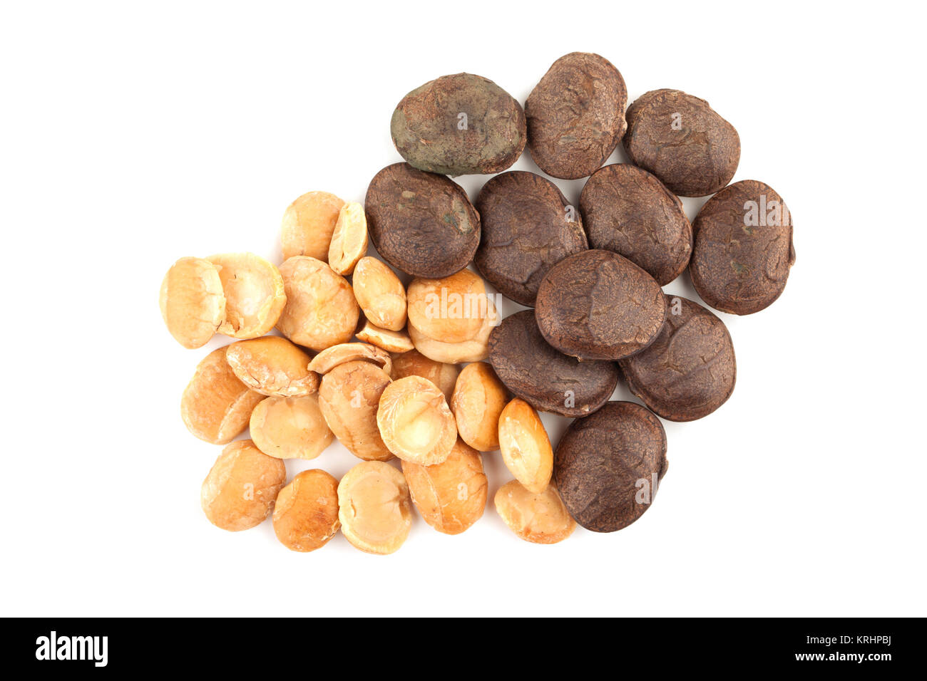 sacha inchi seeds Stock Photo - Alamy