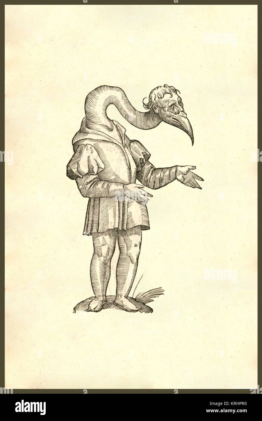"Renaissance woodcut of ""Homo, ore et collo gruis"" , human with the ...