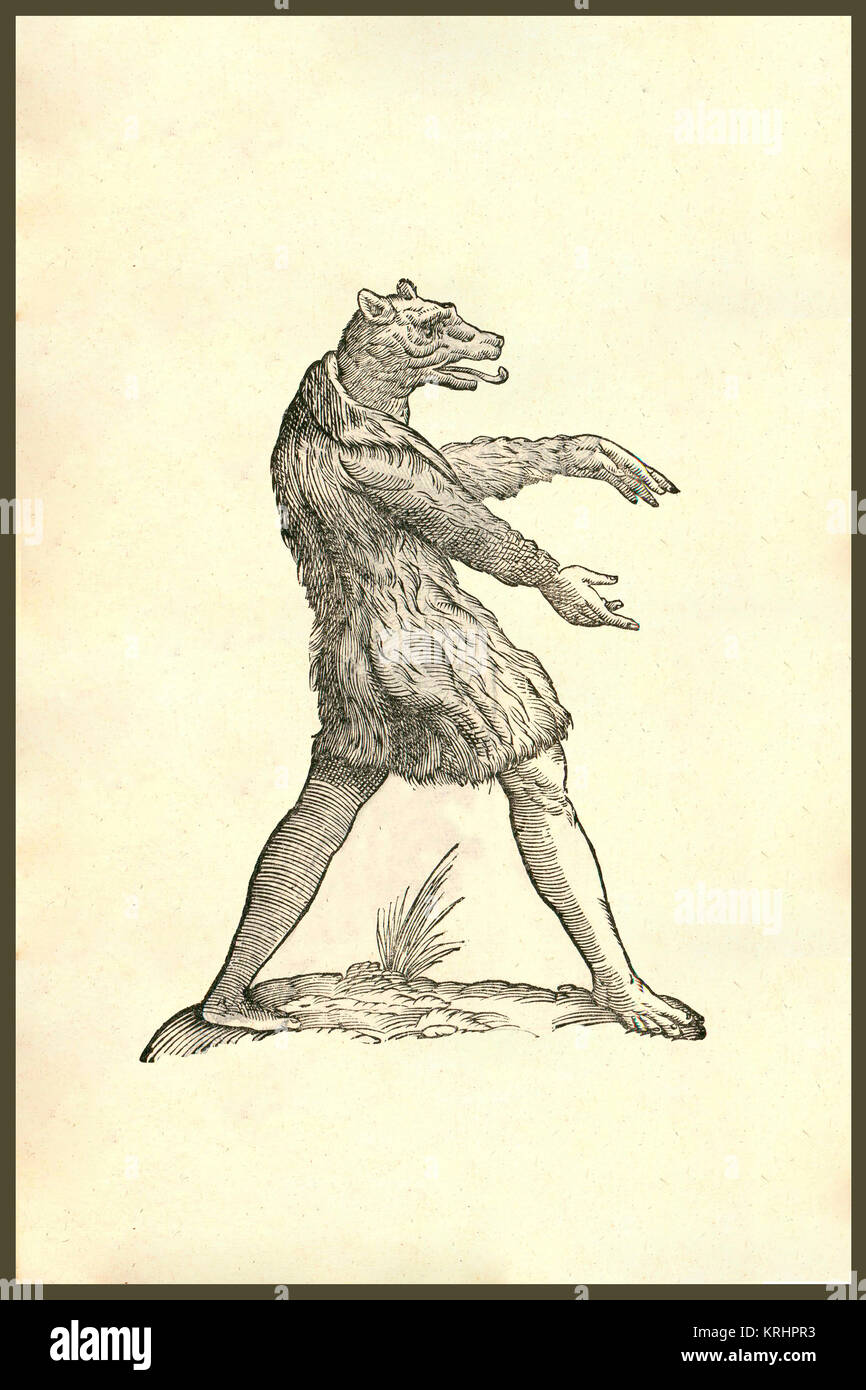 Cynocephali hi-res stock photography and images - Alamy