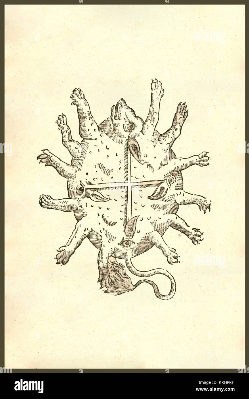 "Renaissance Woodcut monsters. From the 1642 book Monstrorum Historia ...