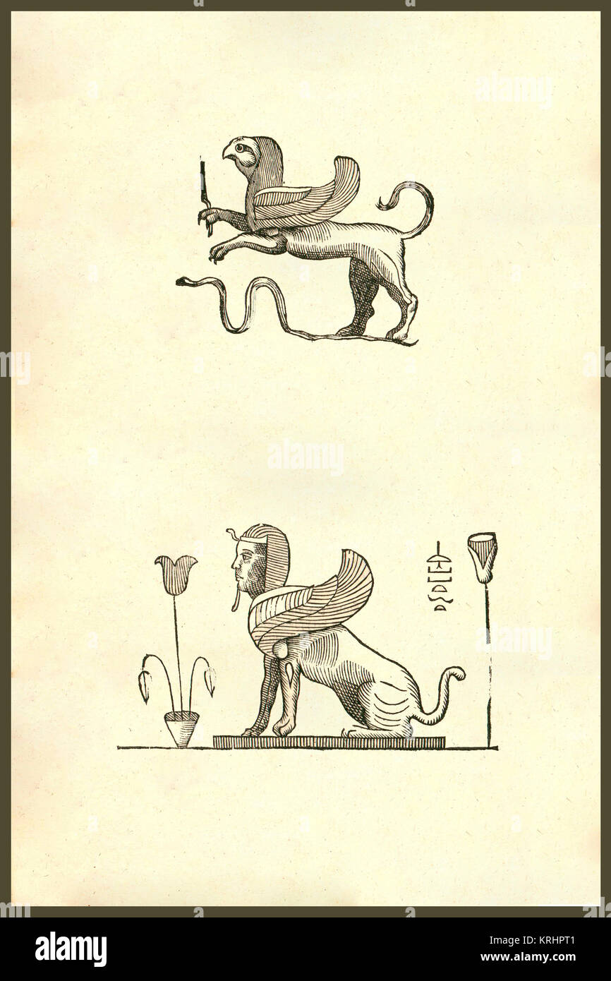 "The griffin, griffon, or gryphon is a legendary creature with the body ...