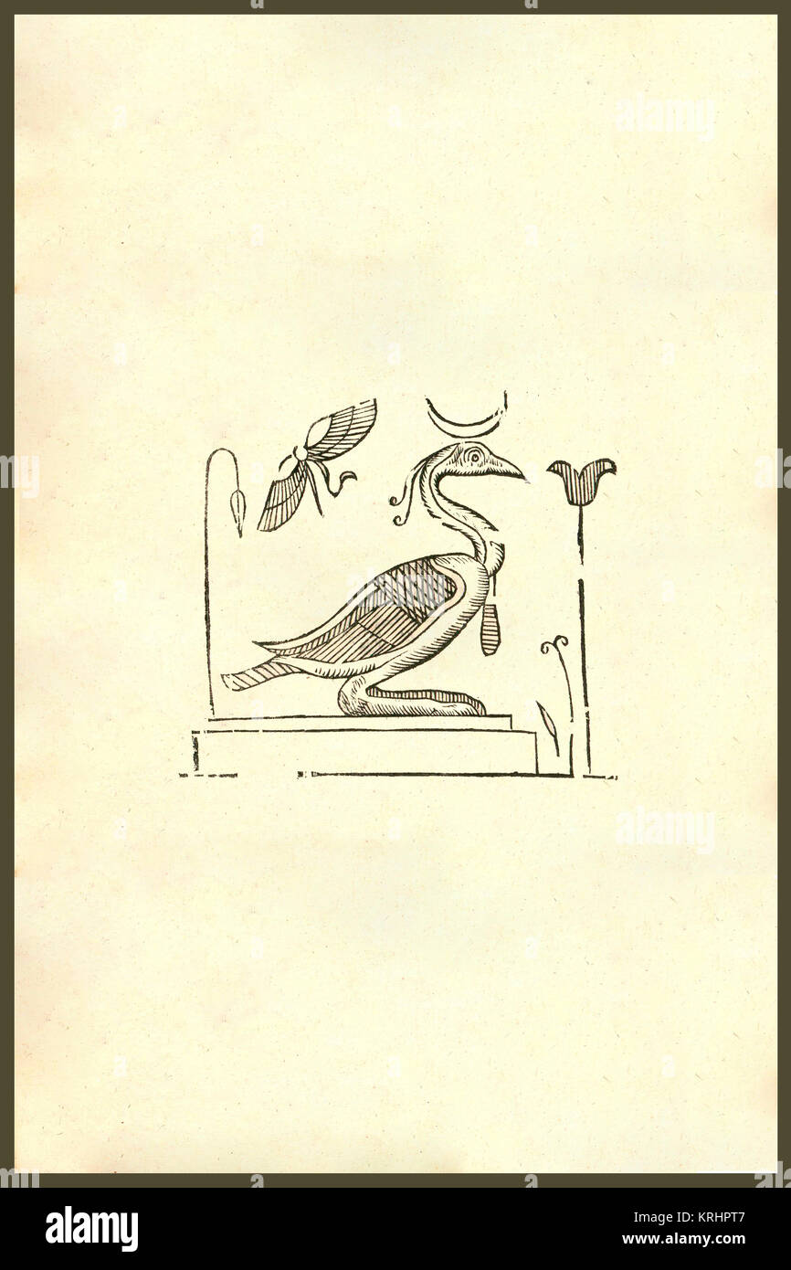 "Renaissance woodcut Ibis, Egyptian,. From the 1642 book Monstrorum ...
