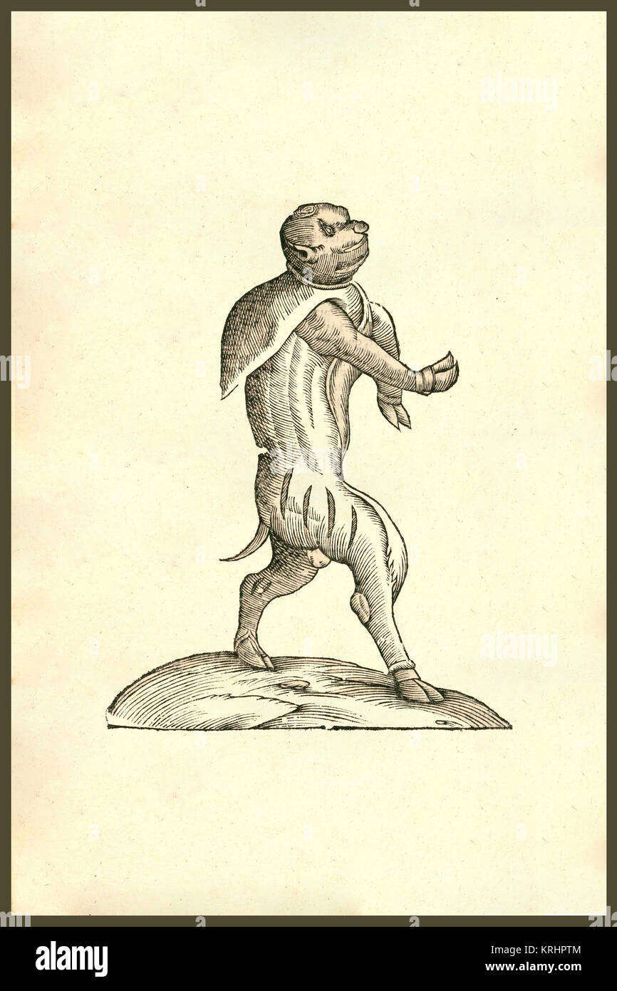 "Vitulomonachus sorbini, 371, being with a calf's body and deformed ...