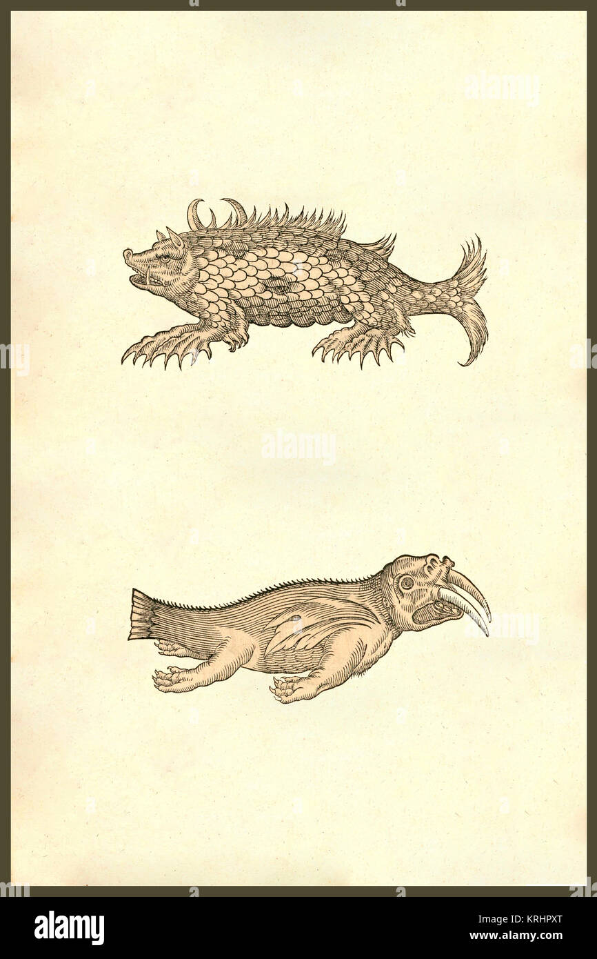 "Hog (pig) & Elephant type ancient sea Monsters from the 1642 book ...