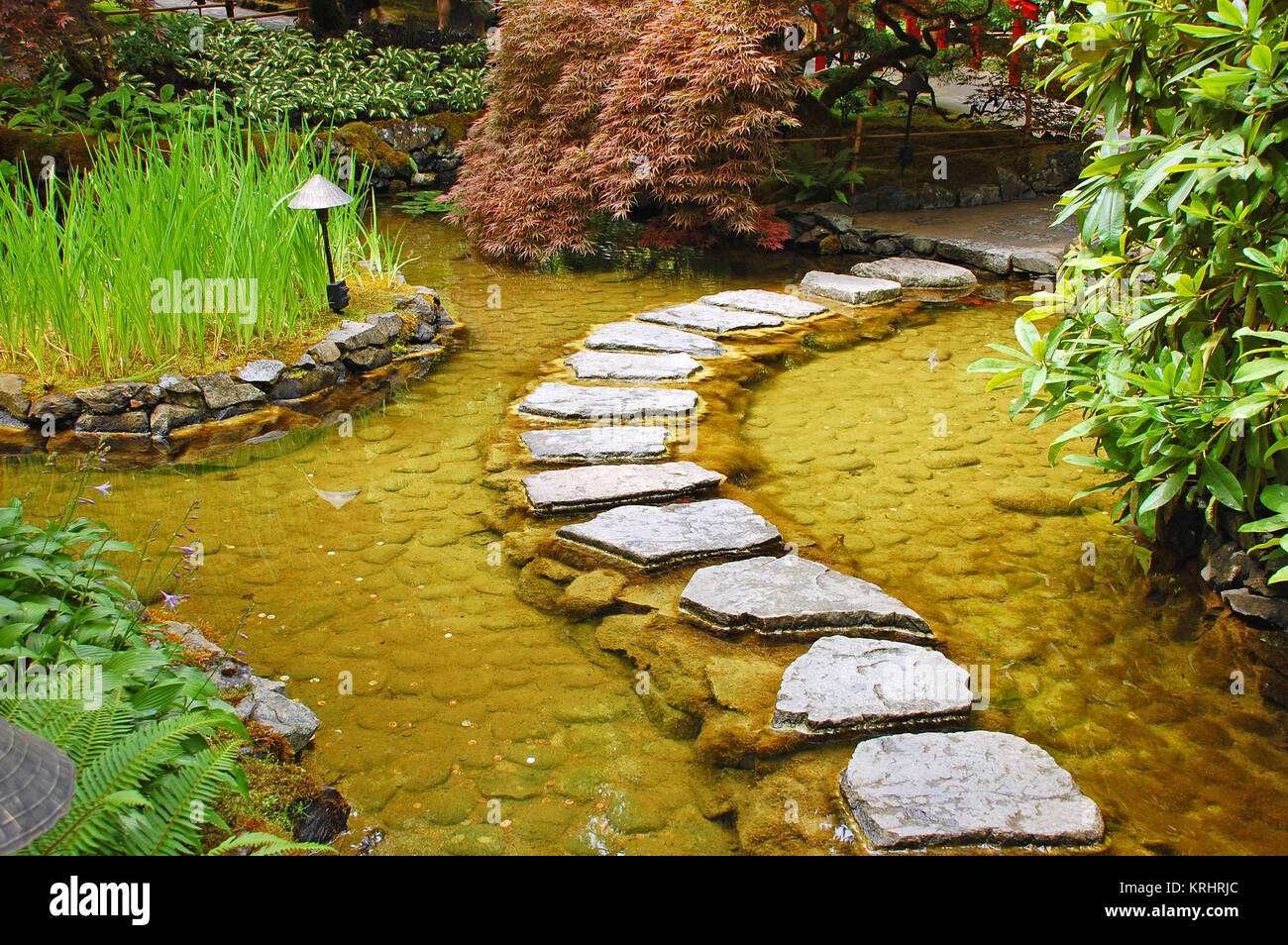 Garden pond with stone path Stock Photo - Alamy