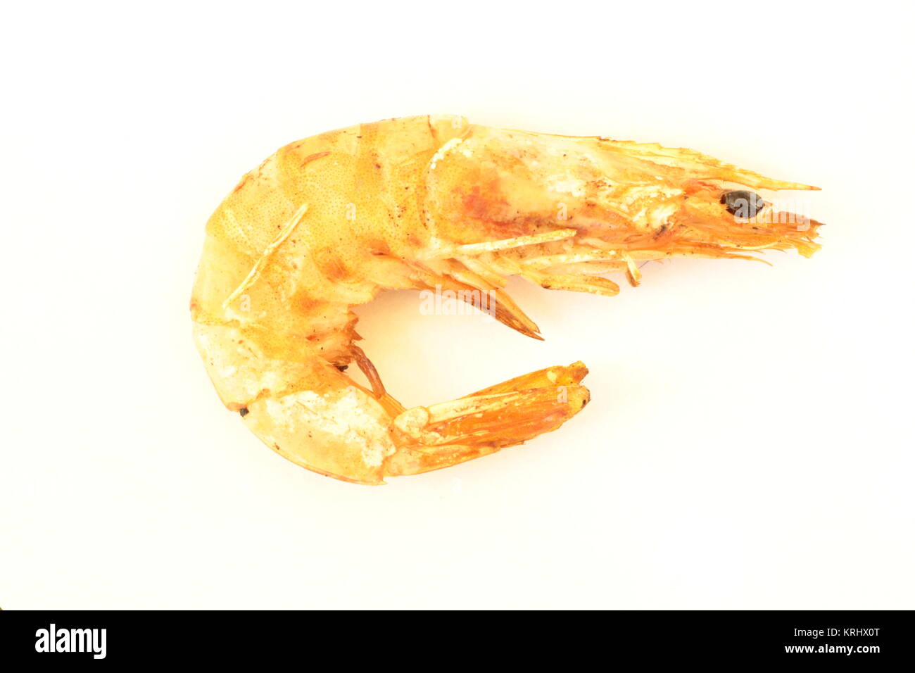 shrimp isolated on white background Stock Photo - Alamy