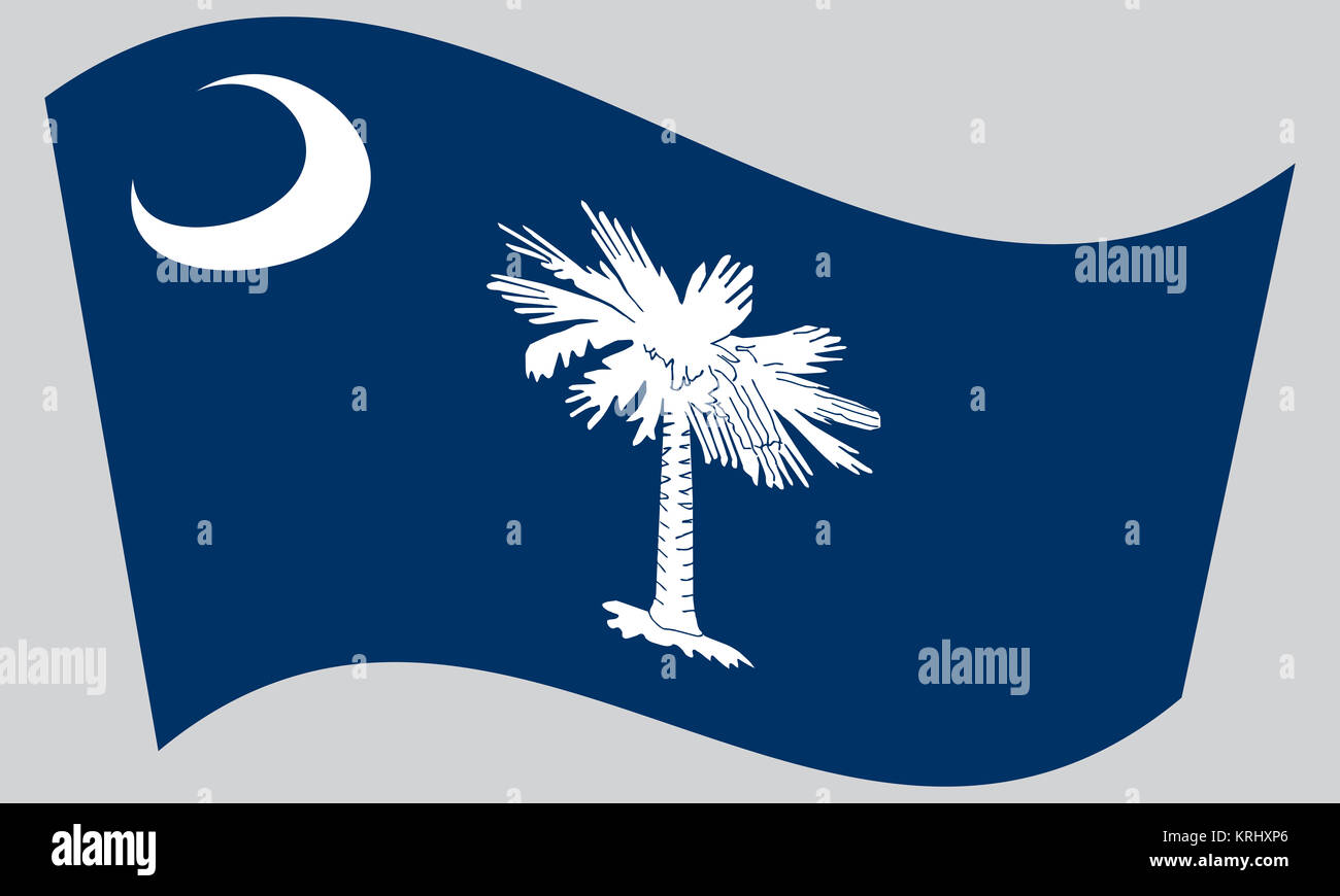 Flag of South Carolina waving on gray background Stock Photo - Alamy