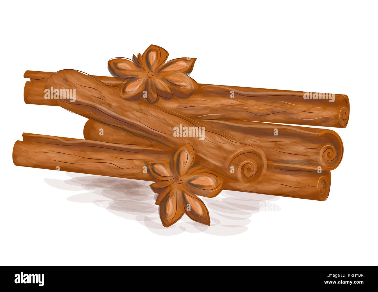 Cinamon plant hi-res stock photography and images - Alamy