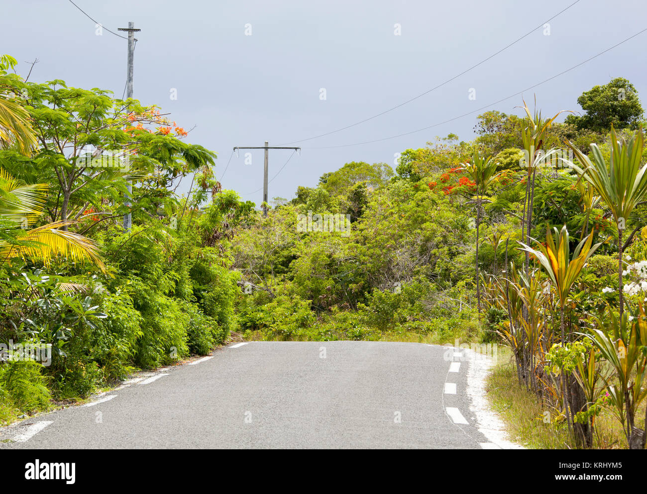 Pacific Island Road Stock Photo - Alamy