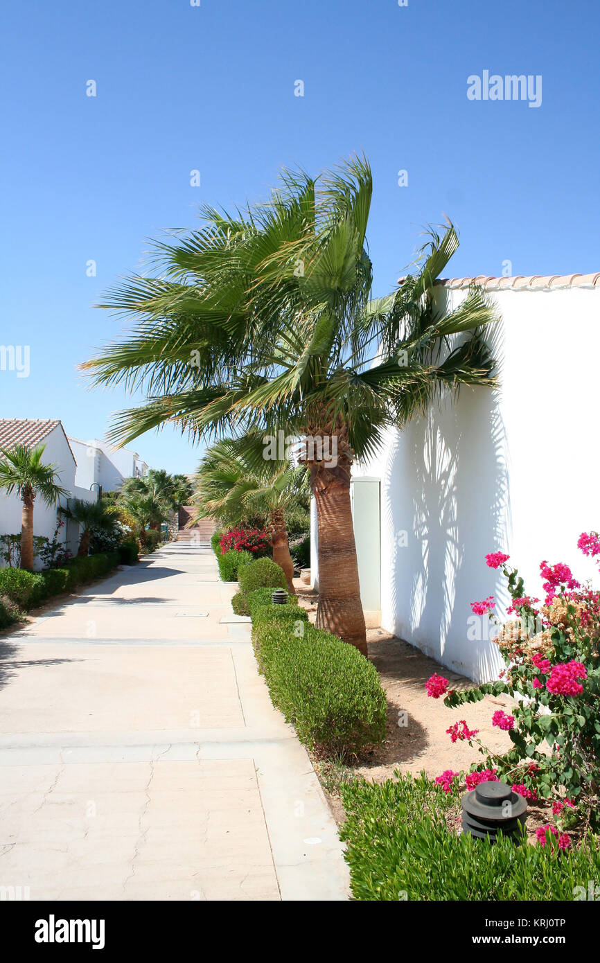 Path in resort hotel Stock Photo - Alamy
