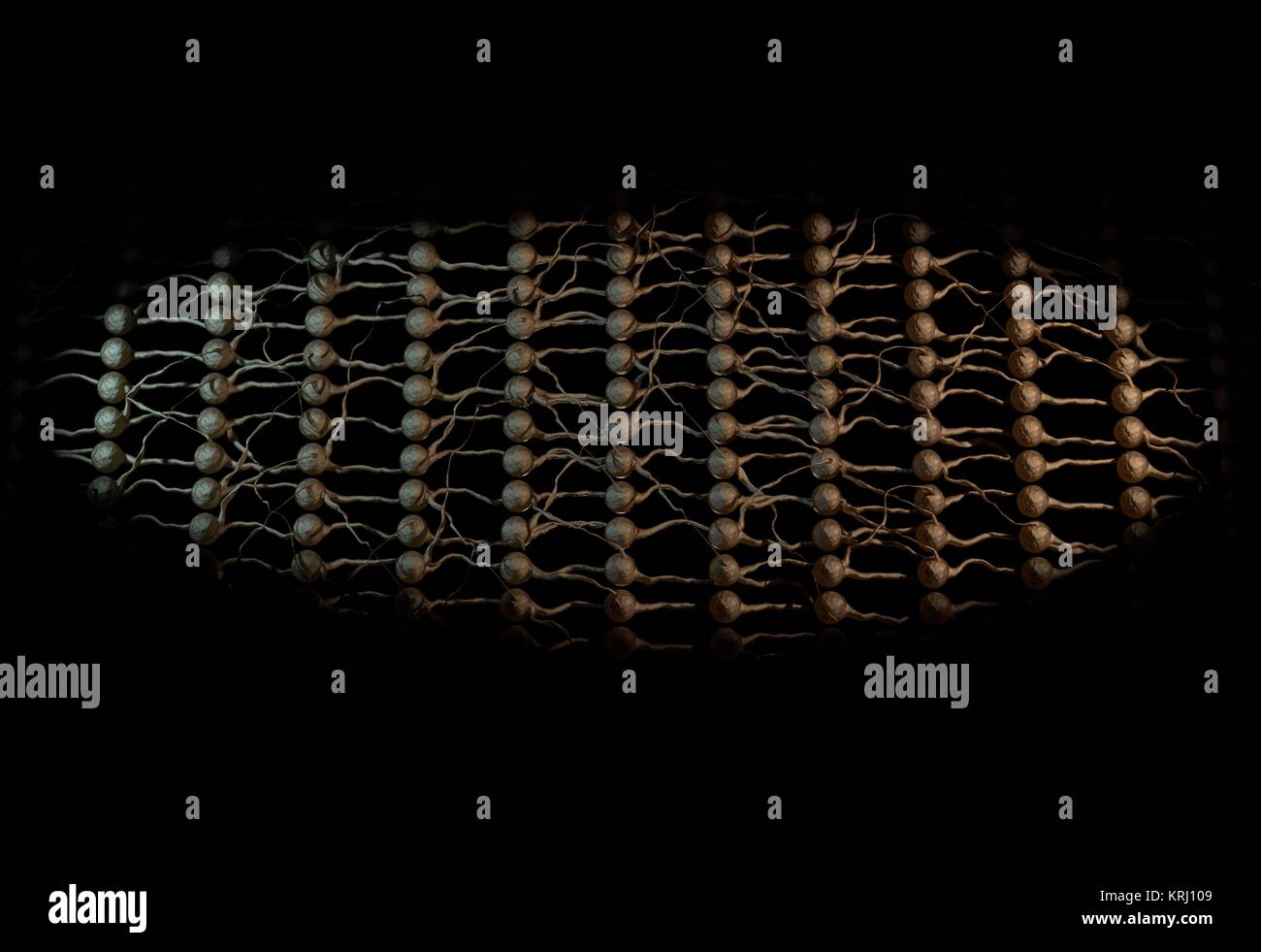 Deep neural net hi-res stock photography and images - Alamy