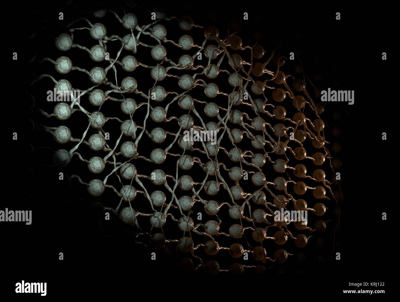 Deep learning model hi-res stock photography and images - Alamy