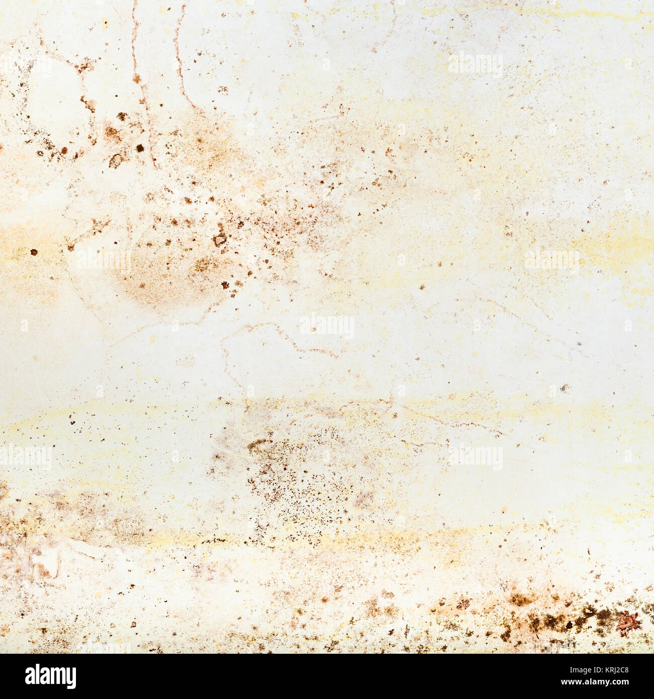mold stains on the wall of the room Stock Photo - Alamy
