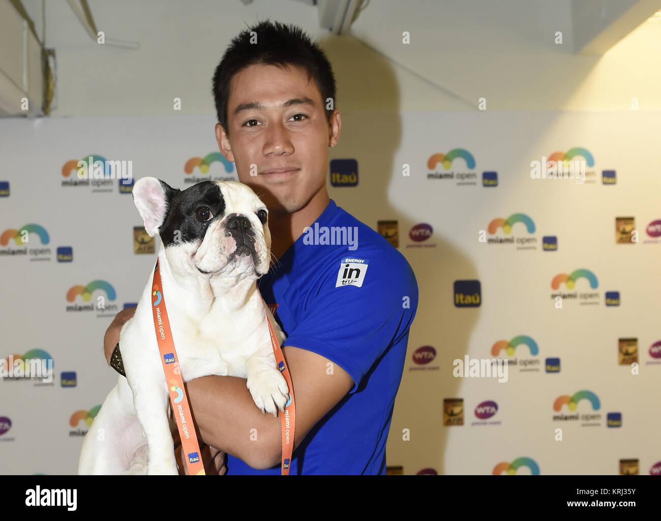KEY BISCAYNE, FL - MARCH 31: Manny The Frenchie, Kei Nishikori during ...